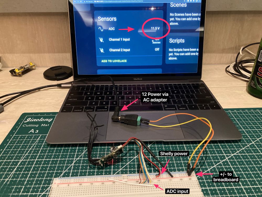Getting started with Shelly UNI - an example project