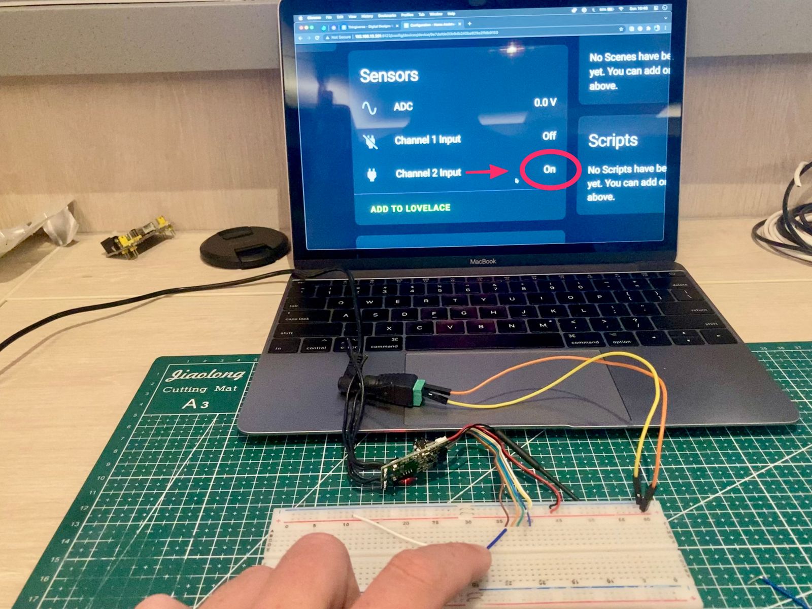 Getting started with Shelly UNI - an example project