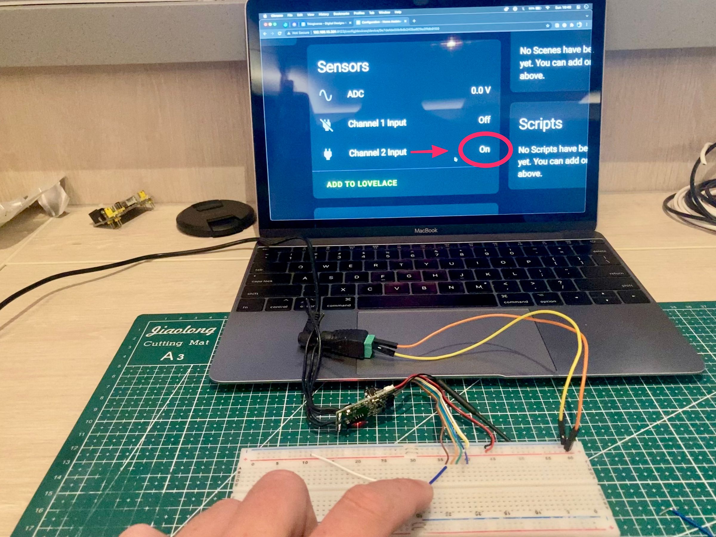 Getting started with Shelly UNI - an example project